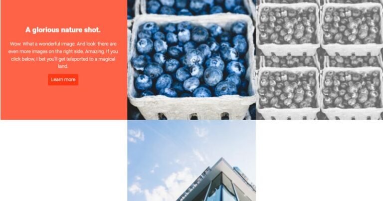 15 Best Responsive Image Gallery Layout - Stackfindover