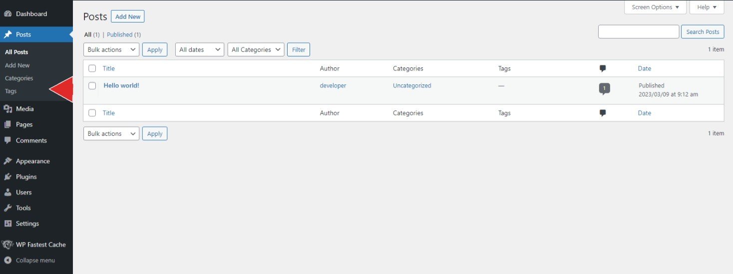 How to create custom taxonomy in WordPress?